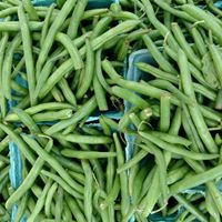 AGB beans – Archwood Green Barns